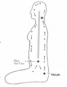 Oefening: De Hui Yin positie (de hemelse omloop) - Tineke van Urk
